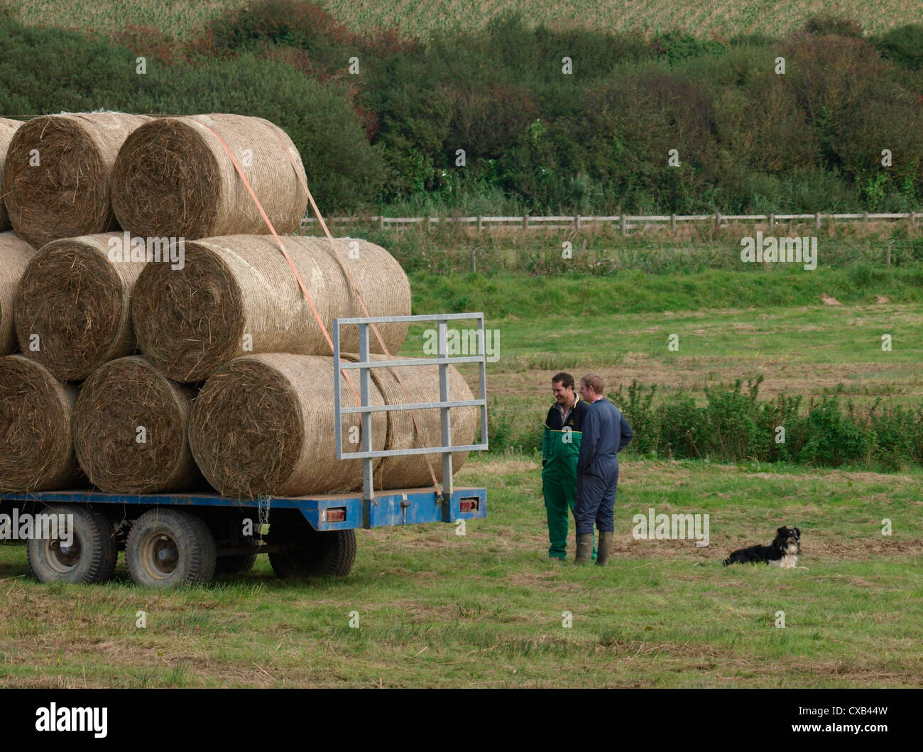 Two farmers talking hi-res stock photography and images - Alamy