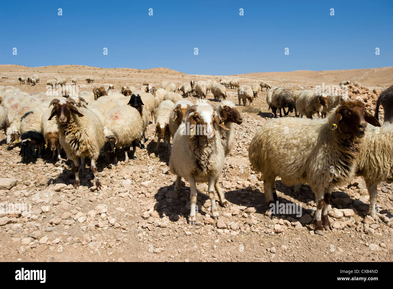 Southeast anatolia hi-res stock photography and images - Alamy