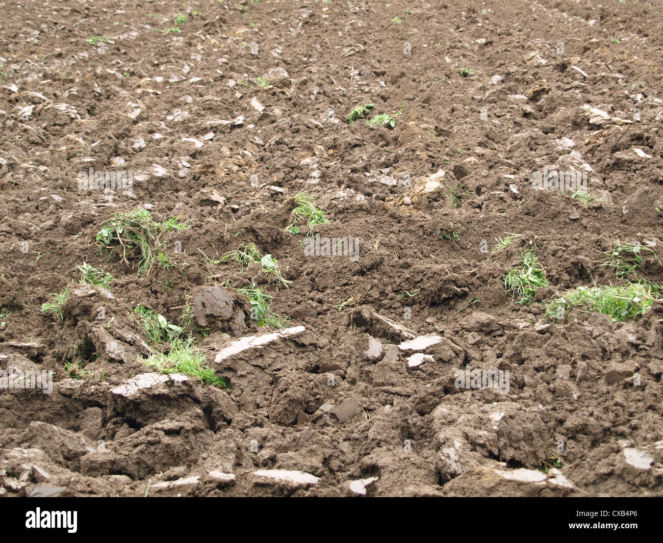 Land im herbst hi-res stock photography and images - Alamy