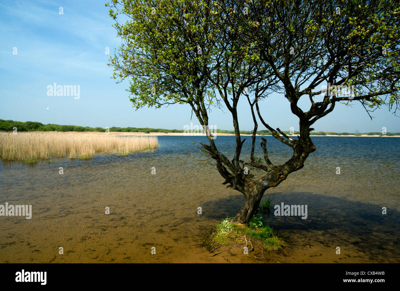 Kenfig pool hi-res stock photography and images - Alamy