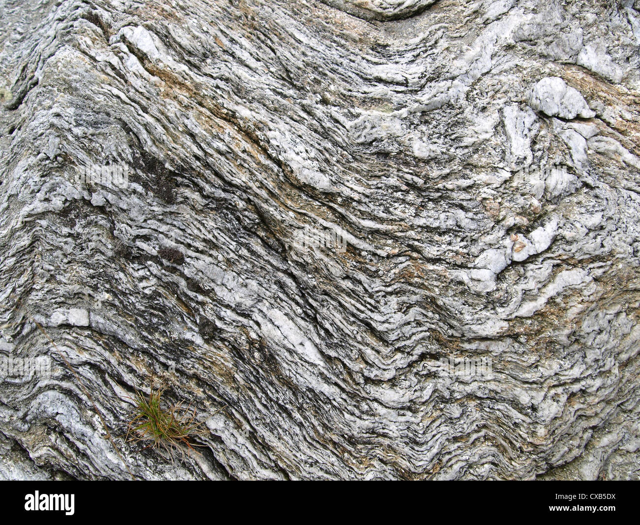 Texture textures hi-res stock photography and images - Alamy
