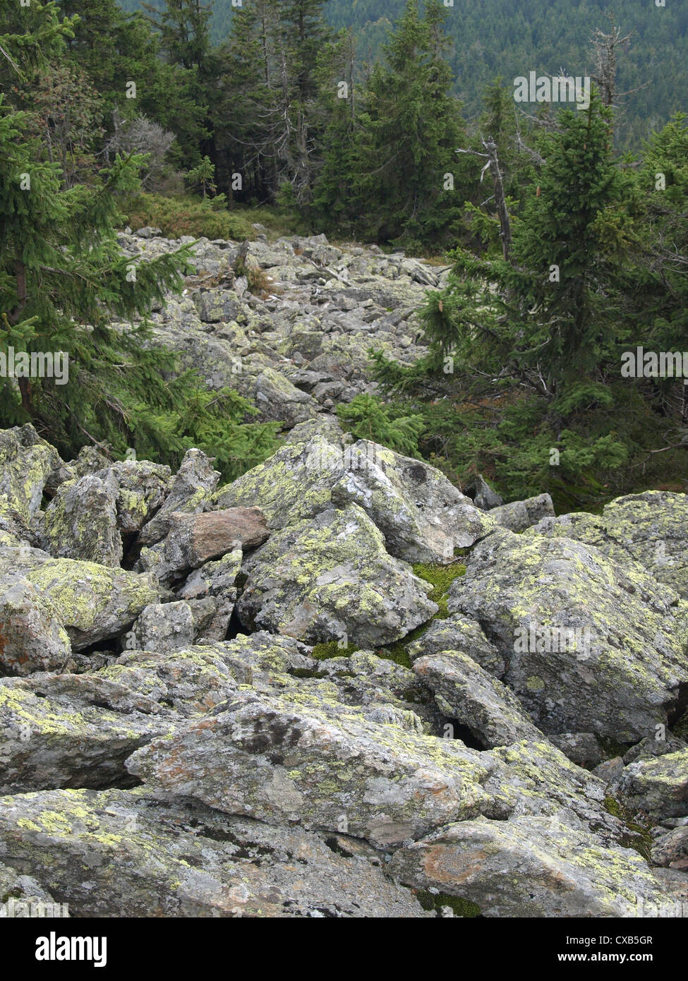 felsenmeer, sea of rock at mountain Zwercheck, Bavarian Forest, Bavaria ...