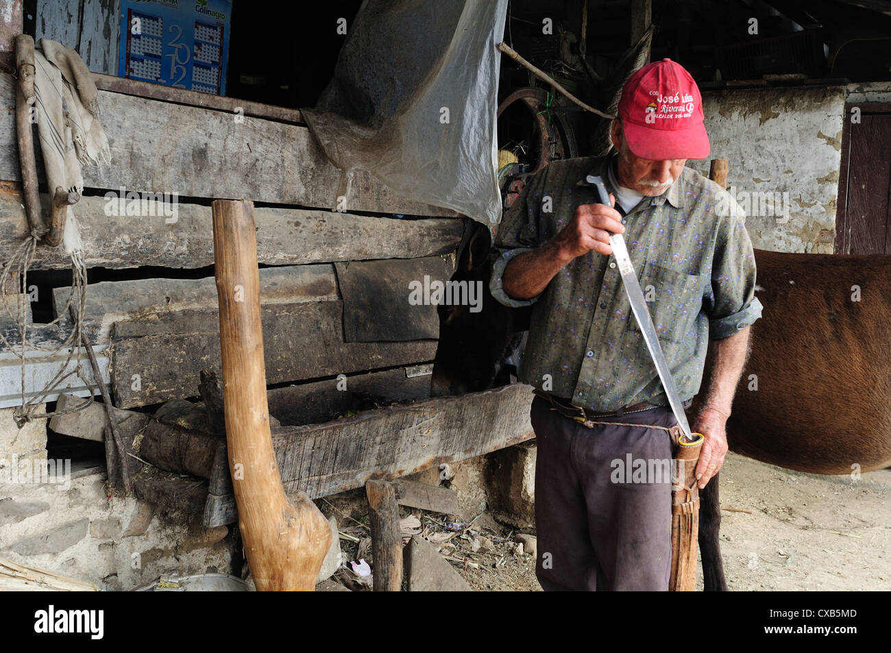 Mule .Road - Aguas Calientes in RIVERA . Department of Huila. COLOMBIA ...
