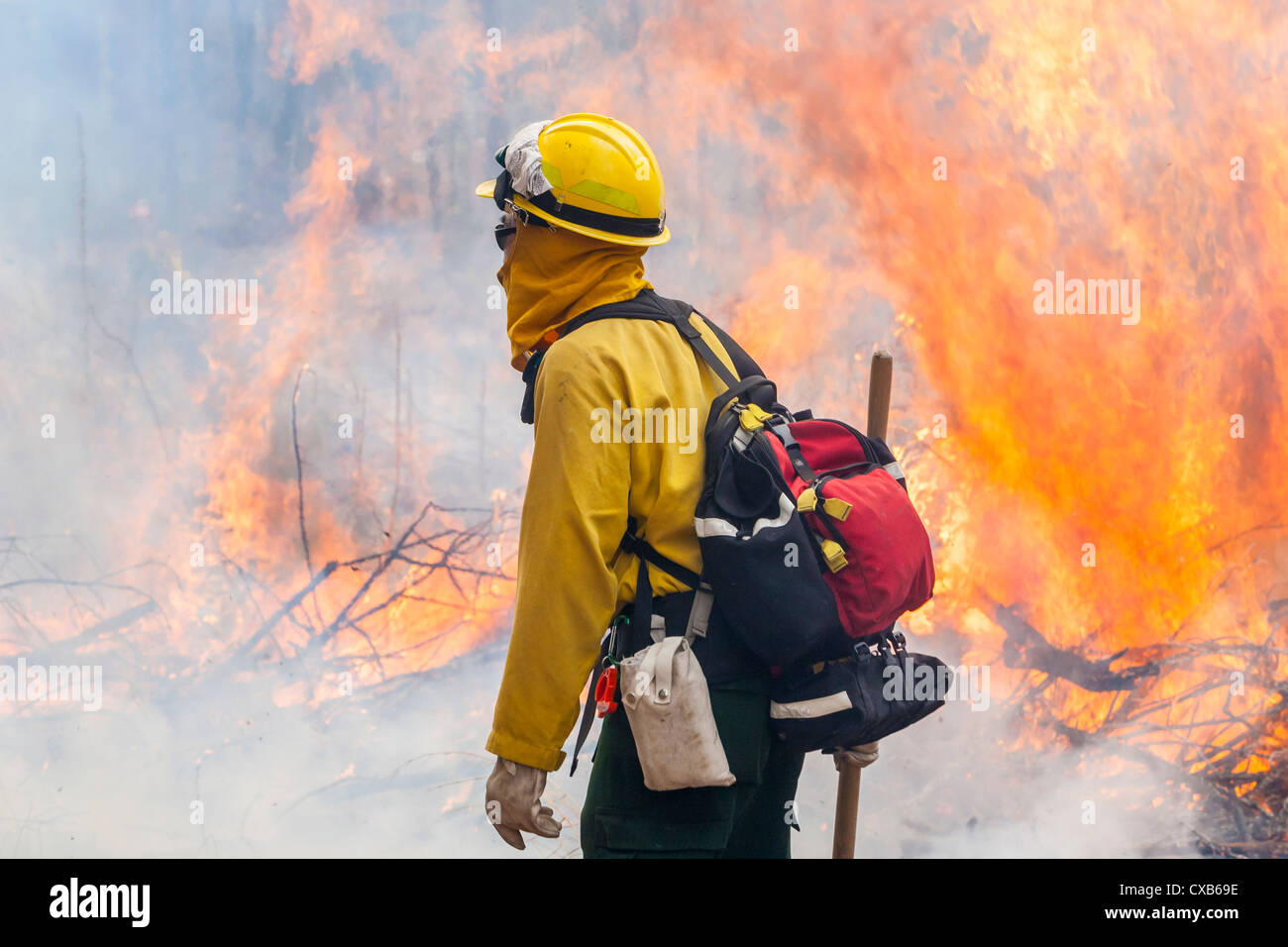Firefighter forest hi-res stock photography and images - Alamy