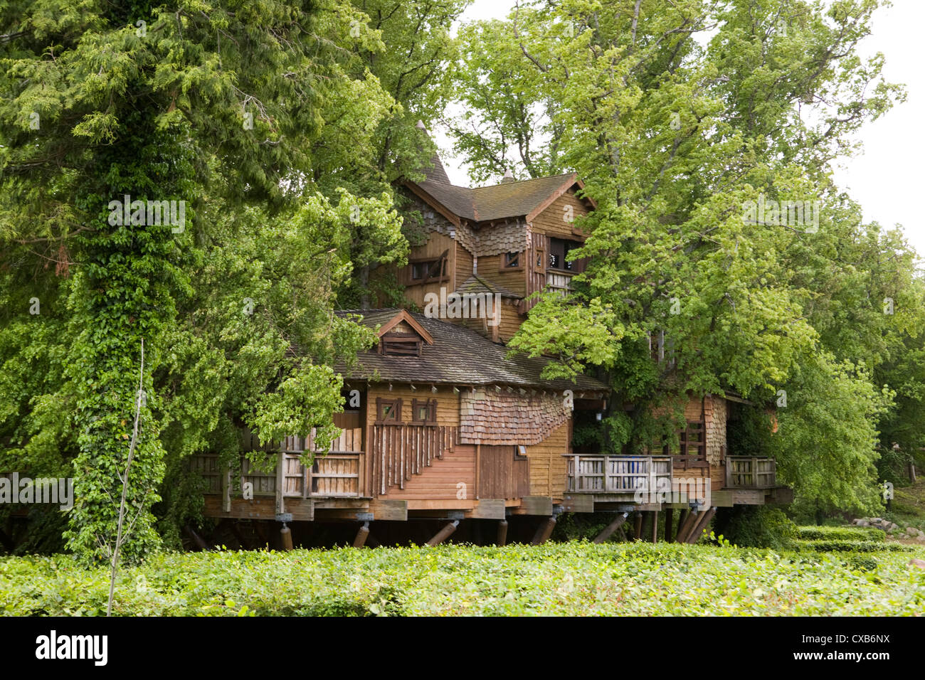 Treehouse uk hi-res stock photography and images - Alamy