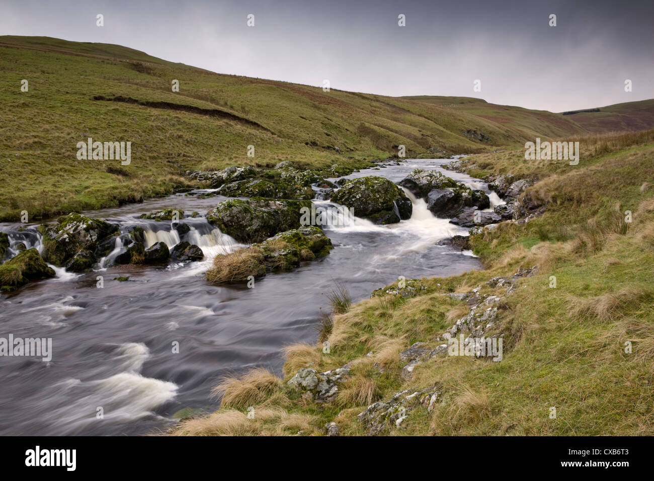 The River Coquet runs through the Cheviot Hills in Coquetdale in ...