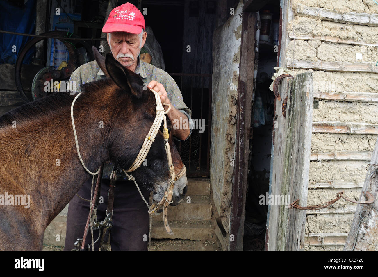 Mule .Road - Aguas Calientes in RIVERA . Department of Huila. COLOMBIA ...