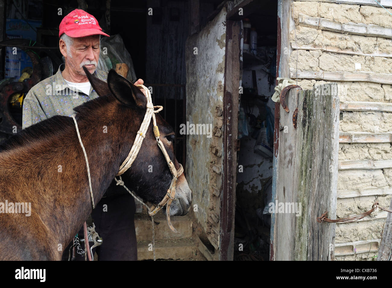 Mule .Road - Aguas Calientes in RIVERA . Department of Huila. COLOMBIA ...
