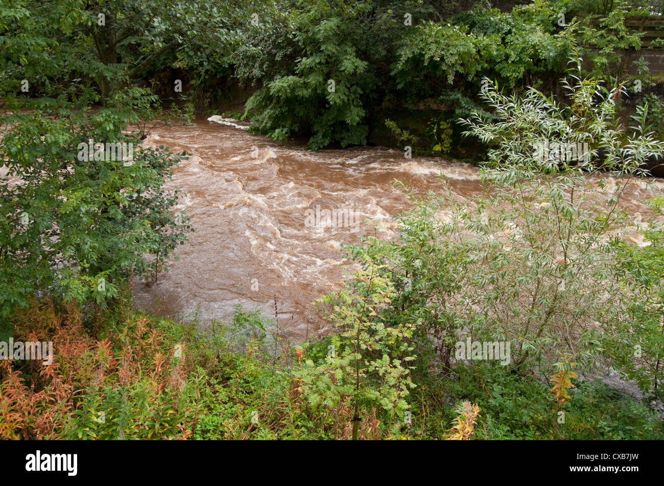 Rising river level due to heavy rainfall and storms,on the Gala water ...