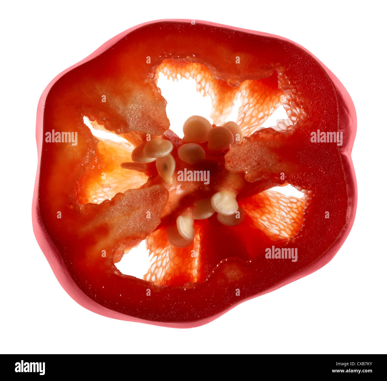Cross section bell pepper hi-res stock photography and images - Alamy