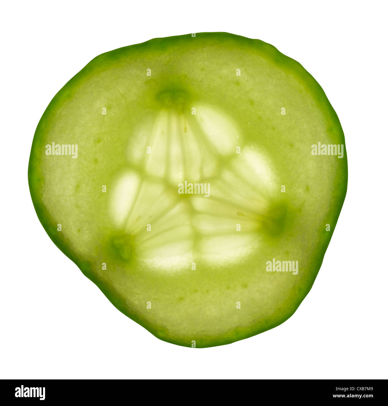 Cross section of cucumber hi-res stock photography and images - Alamy