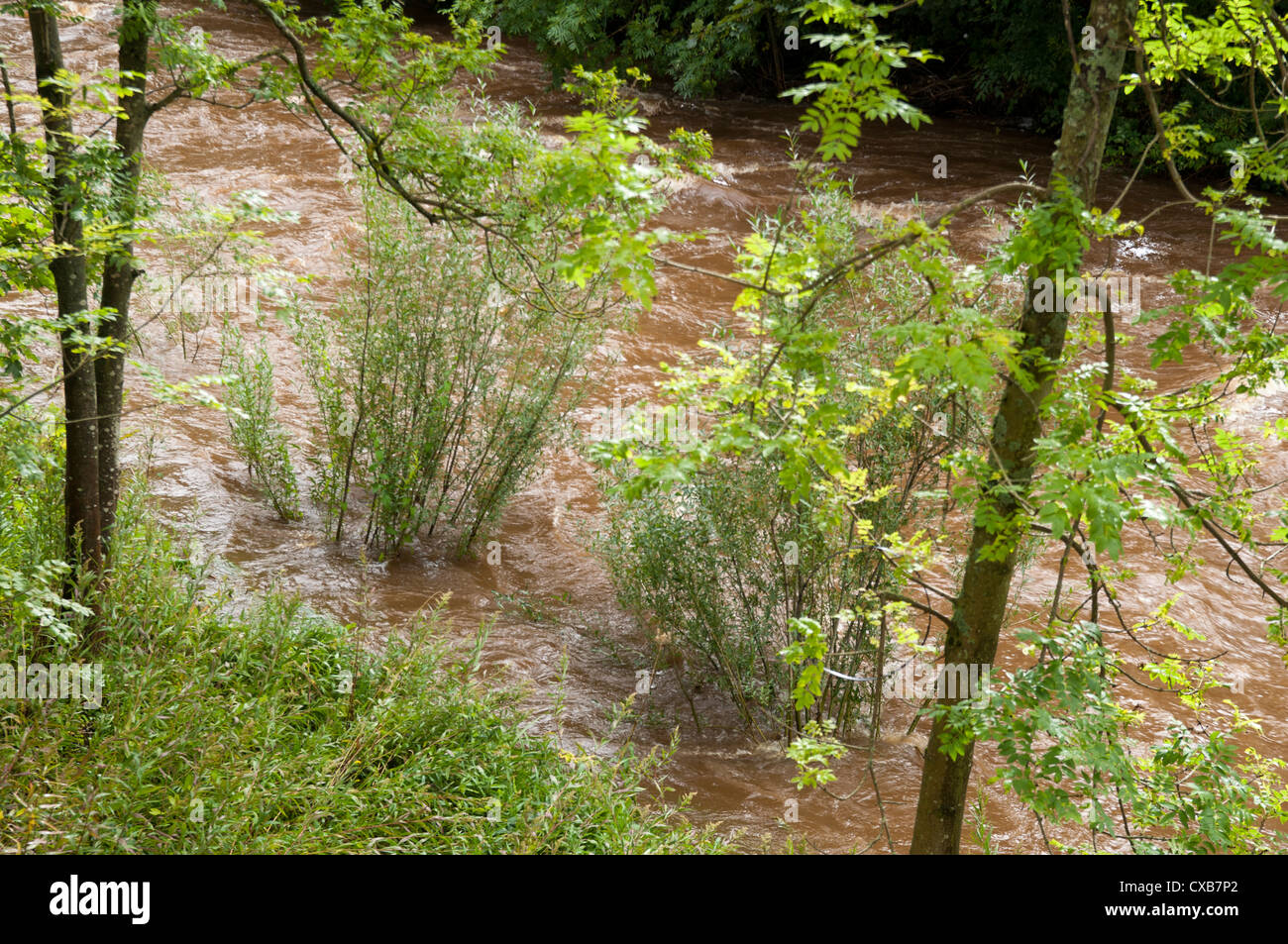 Rising river level due to heavy rainfall and storms,on the Gala water ...