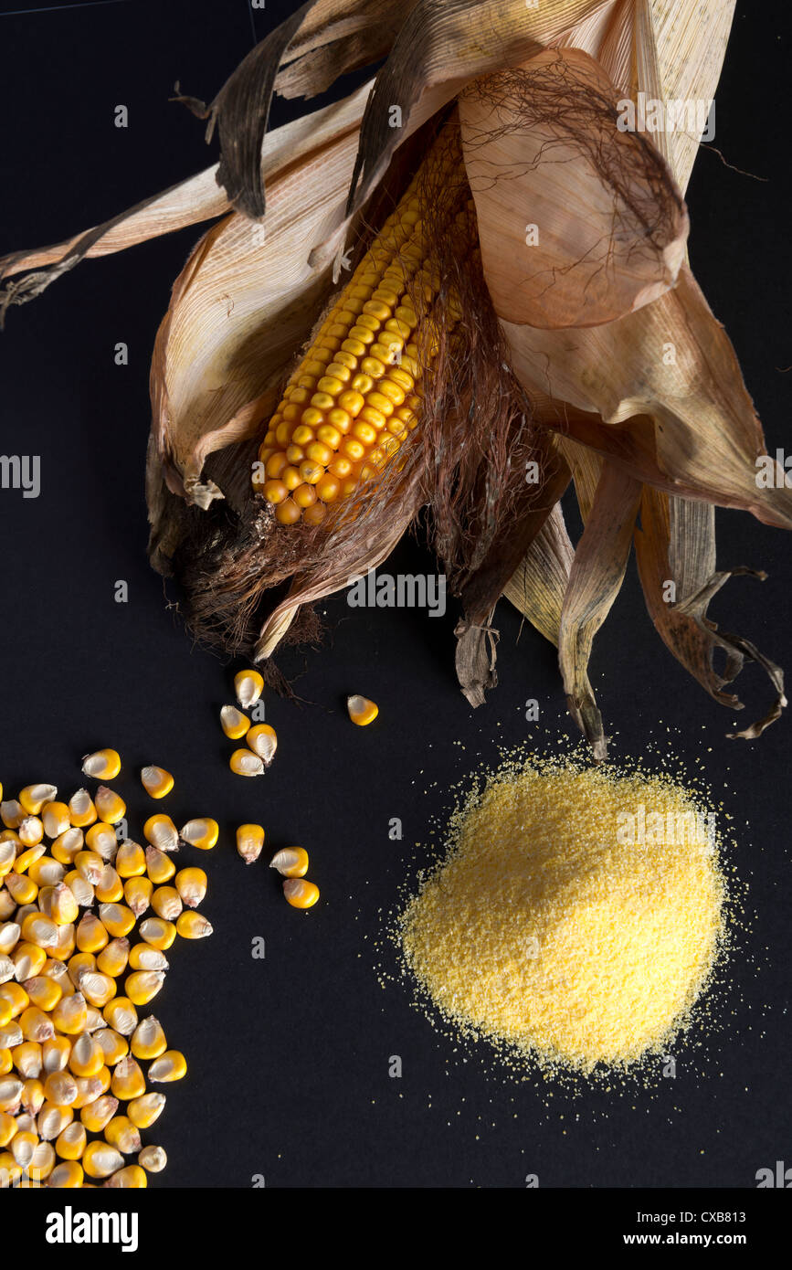 Bundle of corn hi-res stock photography and images - Alamy