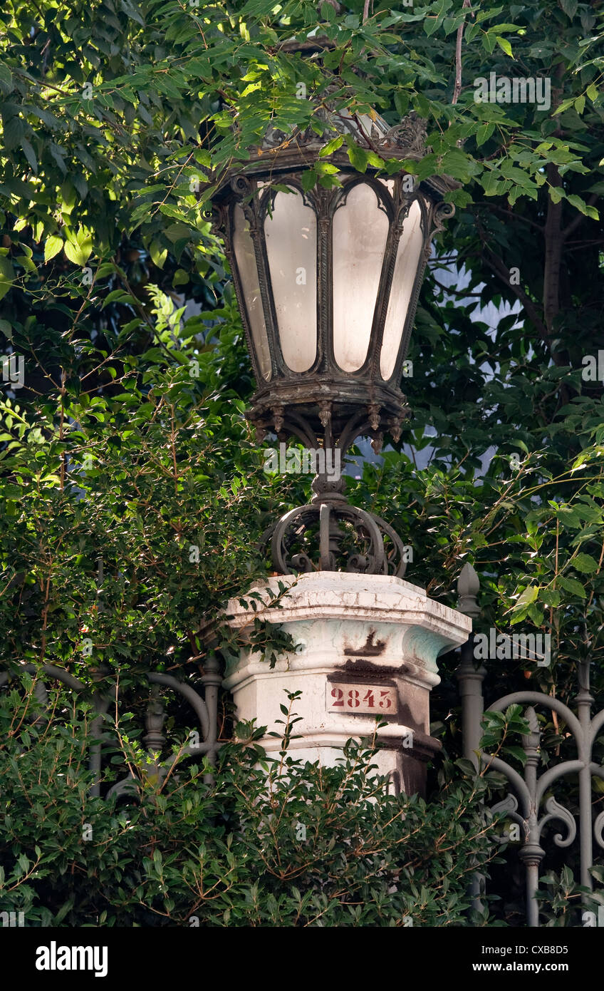 An old overgrown streetlight half buried in foliage, Venice, Italy ...