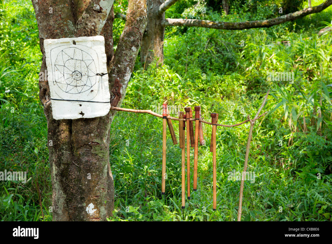 Blowpipes in Cameron Highlands, Malaysia, South East Asia Stock Photo ...