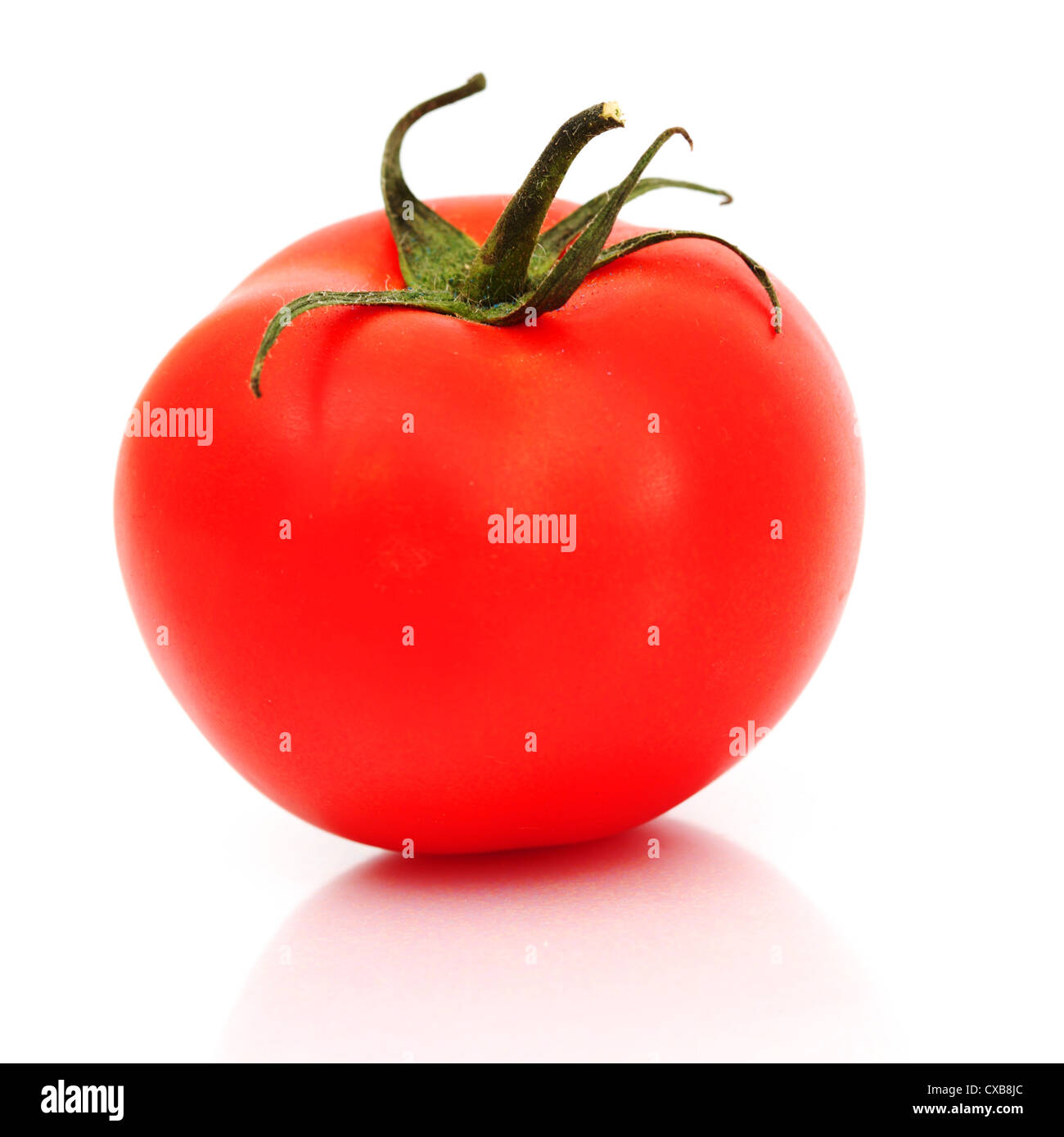 one tomato isolated on white Stock Photo - Alamy
