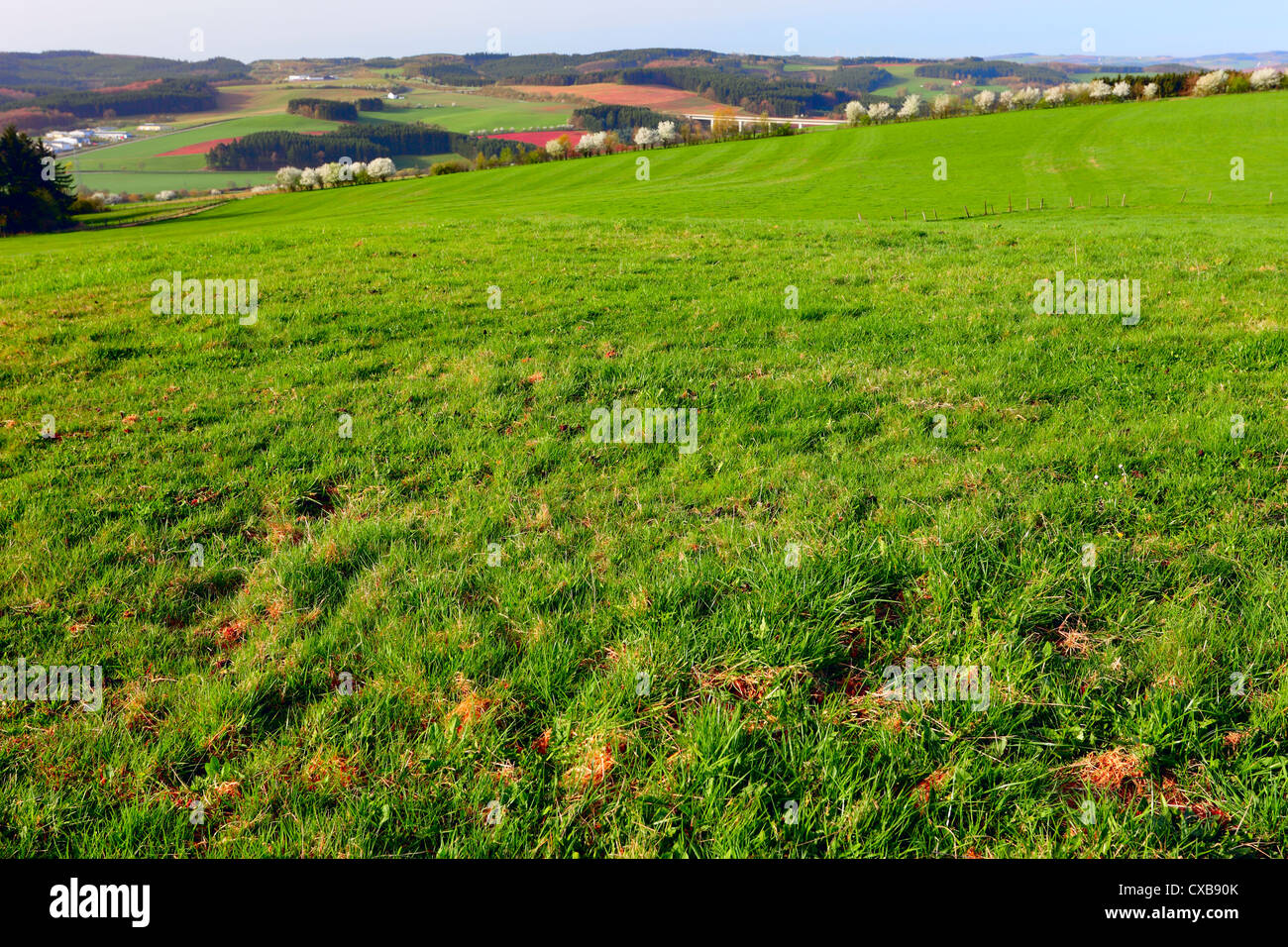 Prum germany hi-res stock photography and images - Alamy