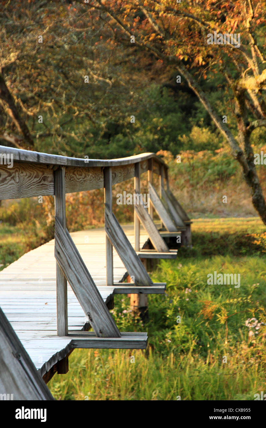 Foot bridge footbridge hi-res stock photography and images - Alamy
