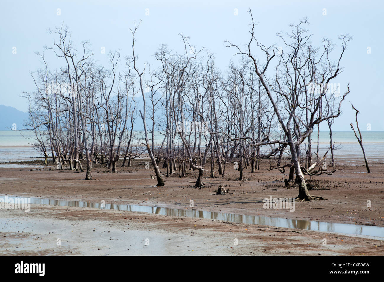 Bako national park hi-res stock photography and images - Alamy