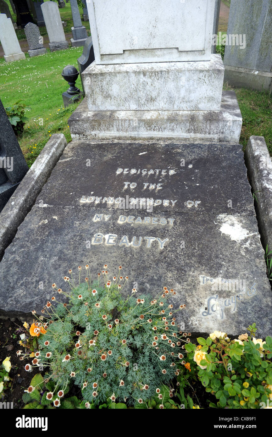 Human grave dog hi-res stock photography and images - Alamy