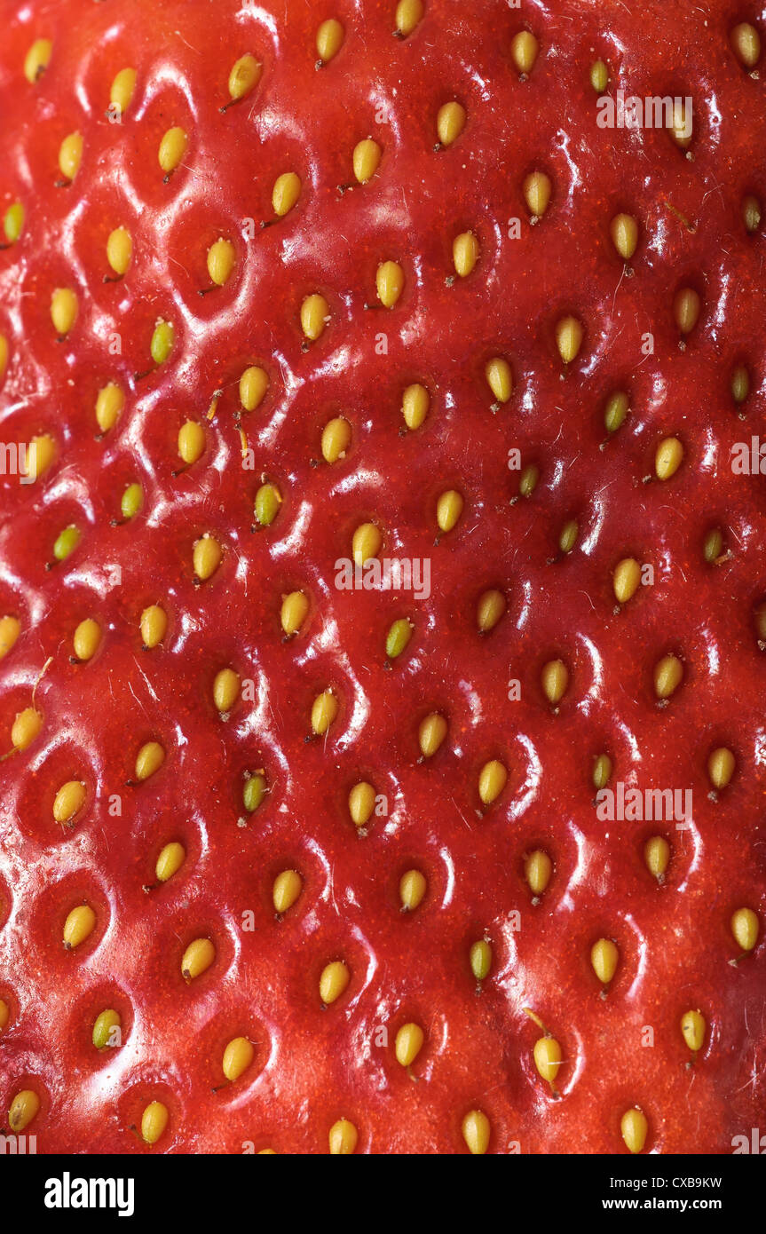 Color detail hi-res stock photography and images - Alamy