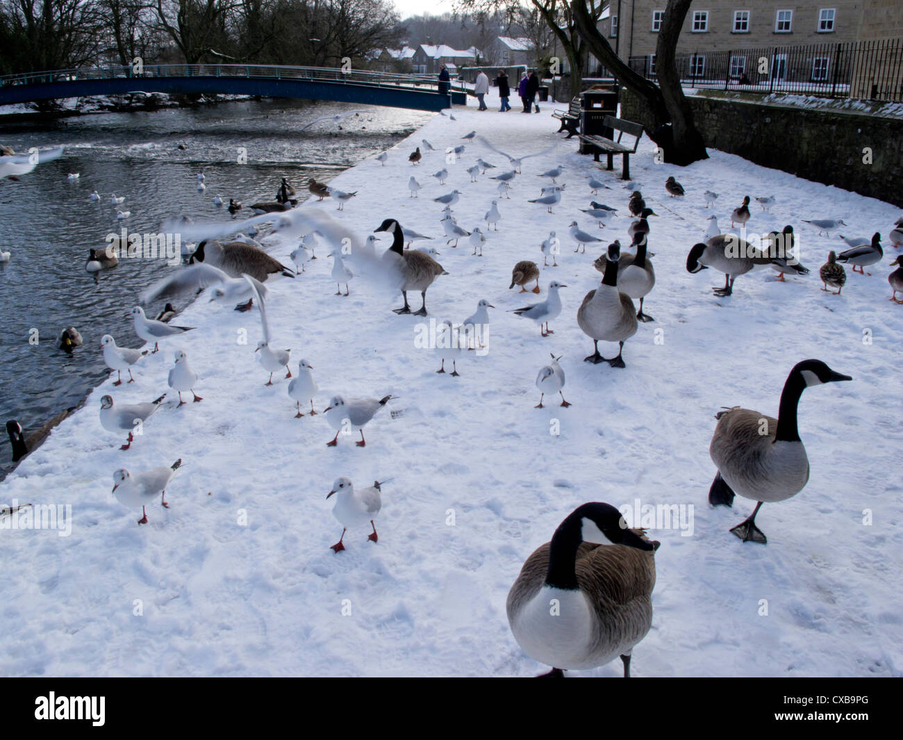 2012 snow scenes hi-res stock photography and images - Alamy