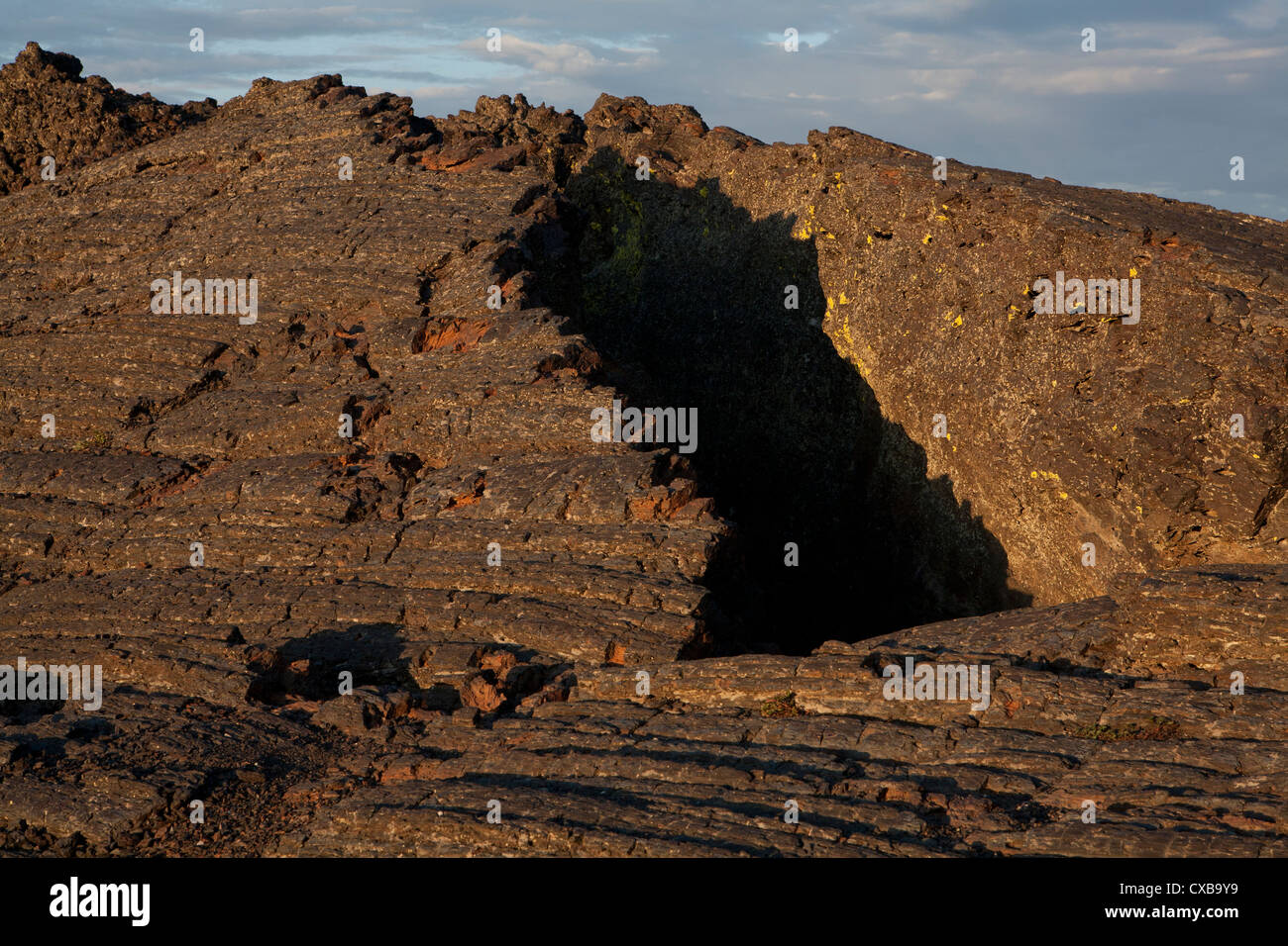 Pressure ridge in streaked surface of pahoehoe lava, Craters of the ...