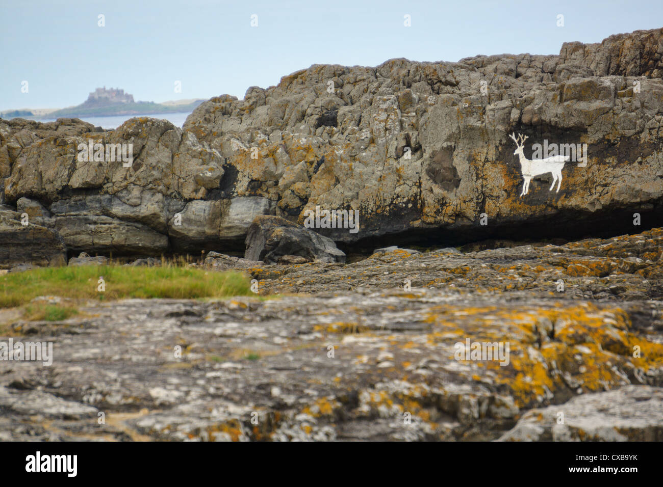 A white painted deer on the rocks near Bambrugh Castle in ...