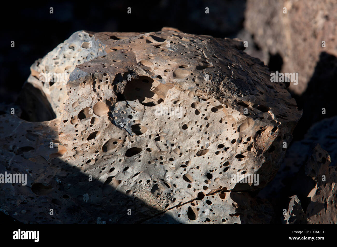Gas bubbles formed the holes in this pahoehoe lava, part of the Blue ...