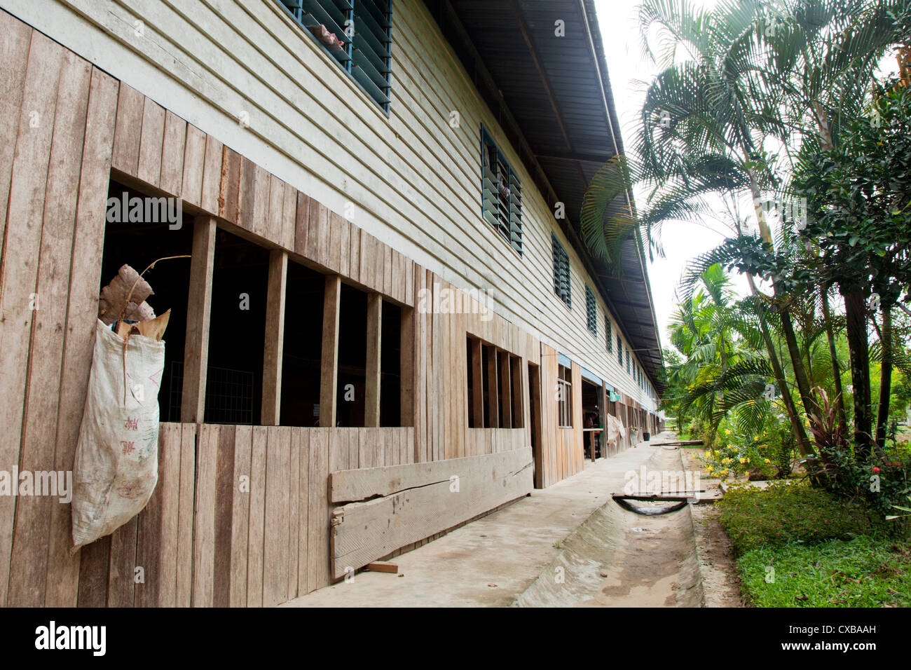 Sarawak long house High Resolution Stock Photography and Images - Alamy