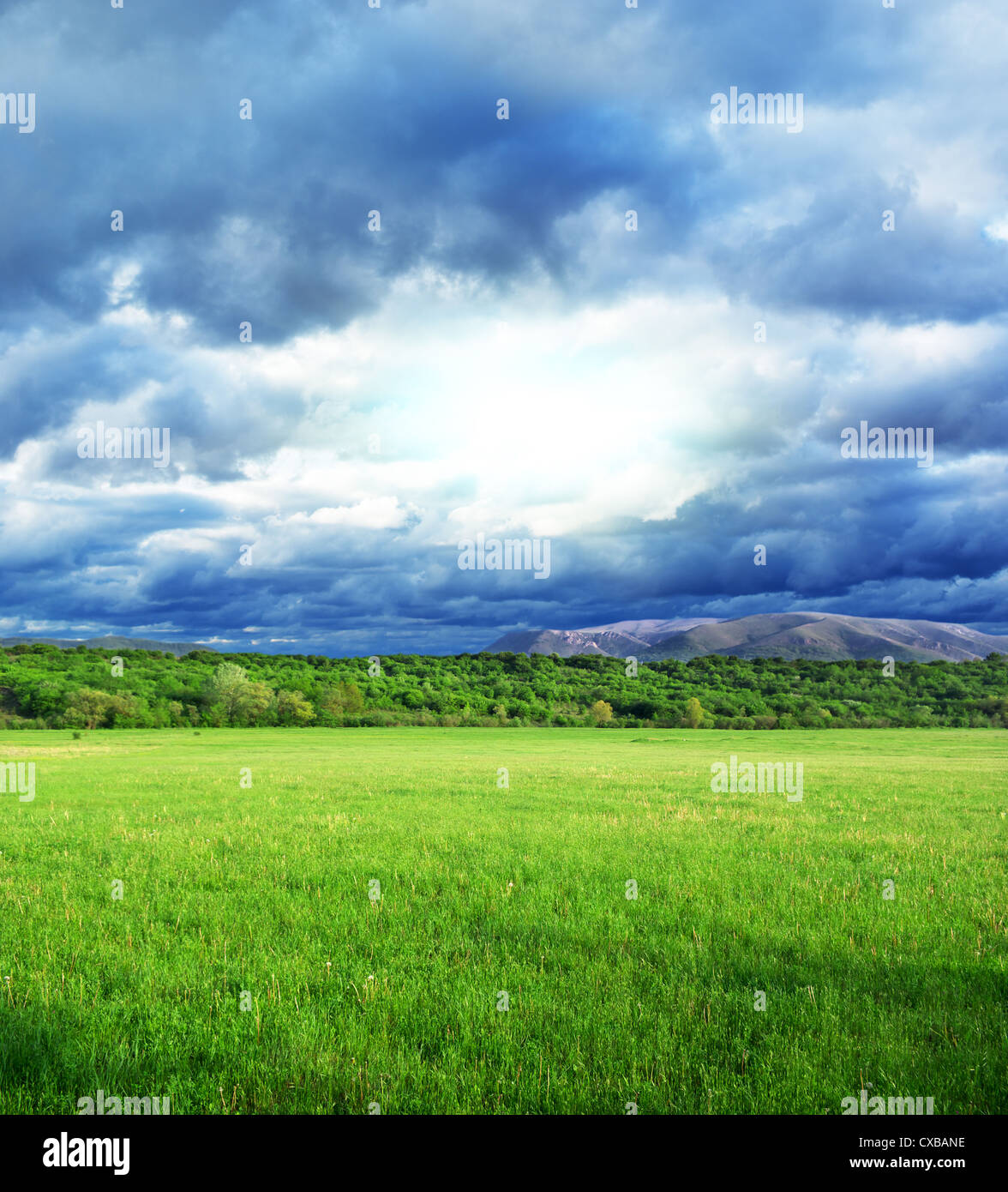 Beautiful green meadow and deep sky. Landscape design Stock Photo - Alamy