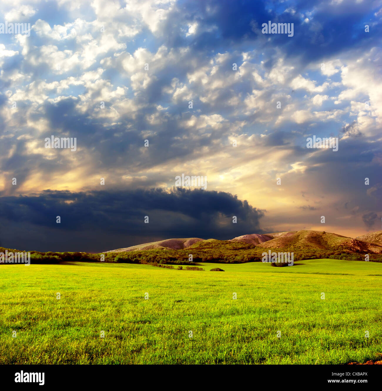 Beautiful landscape at dusk. Landscape design Stock Photo - Alamy