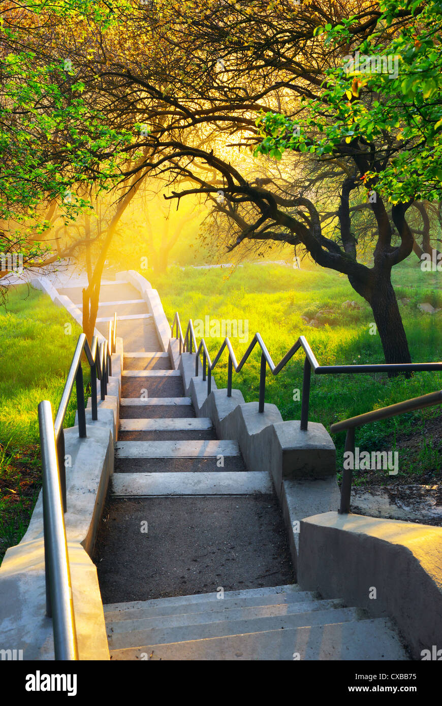 Sunshine park landscape hi-res stock photography and images - Alamy
