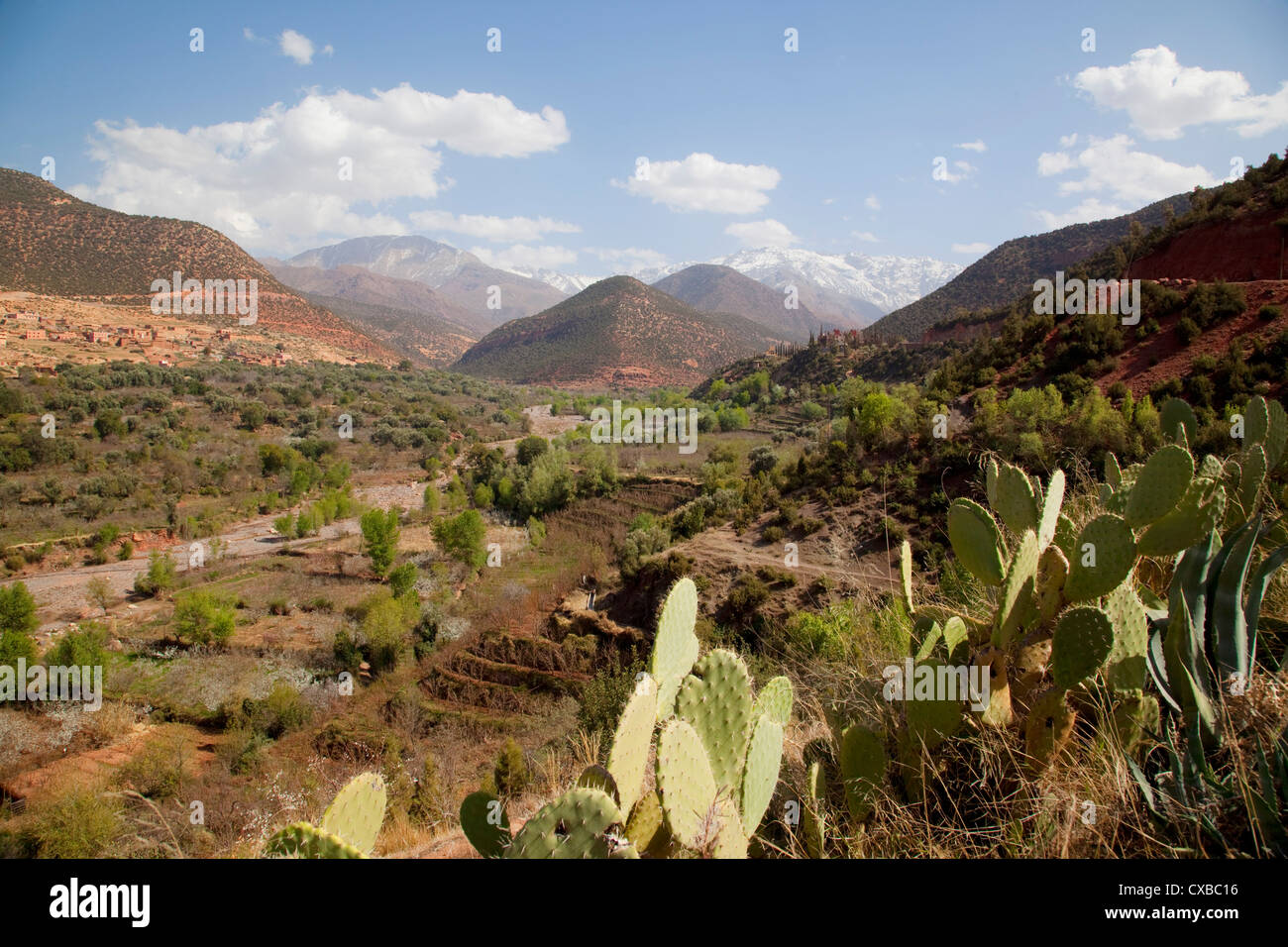 Snow capped High Atlas Mountain Range, Morocco, North Africa, Africa ...