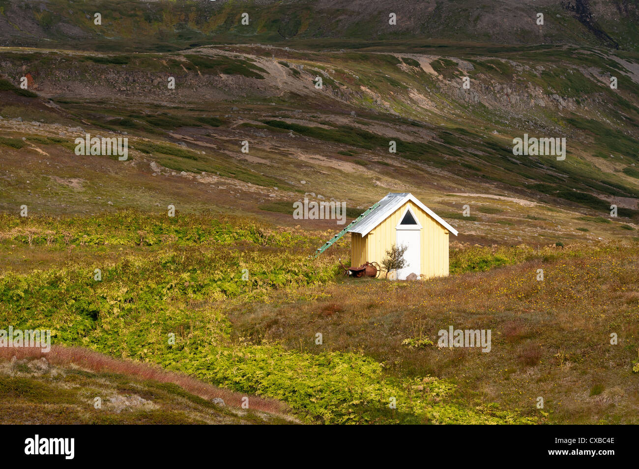 A photograph of the Old houses in the abandoned village of Hesteyri in ...