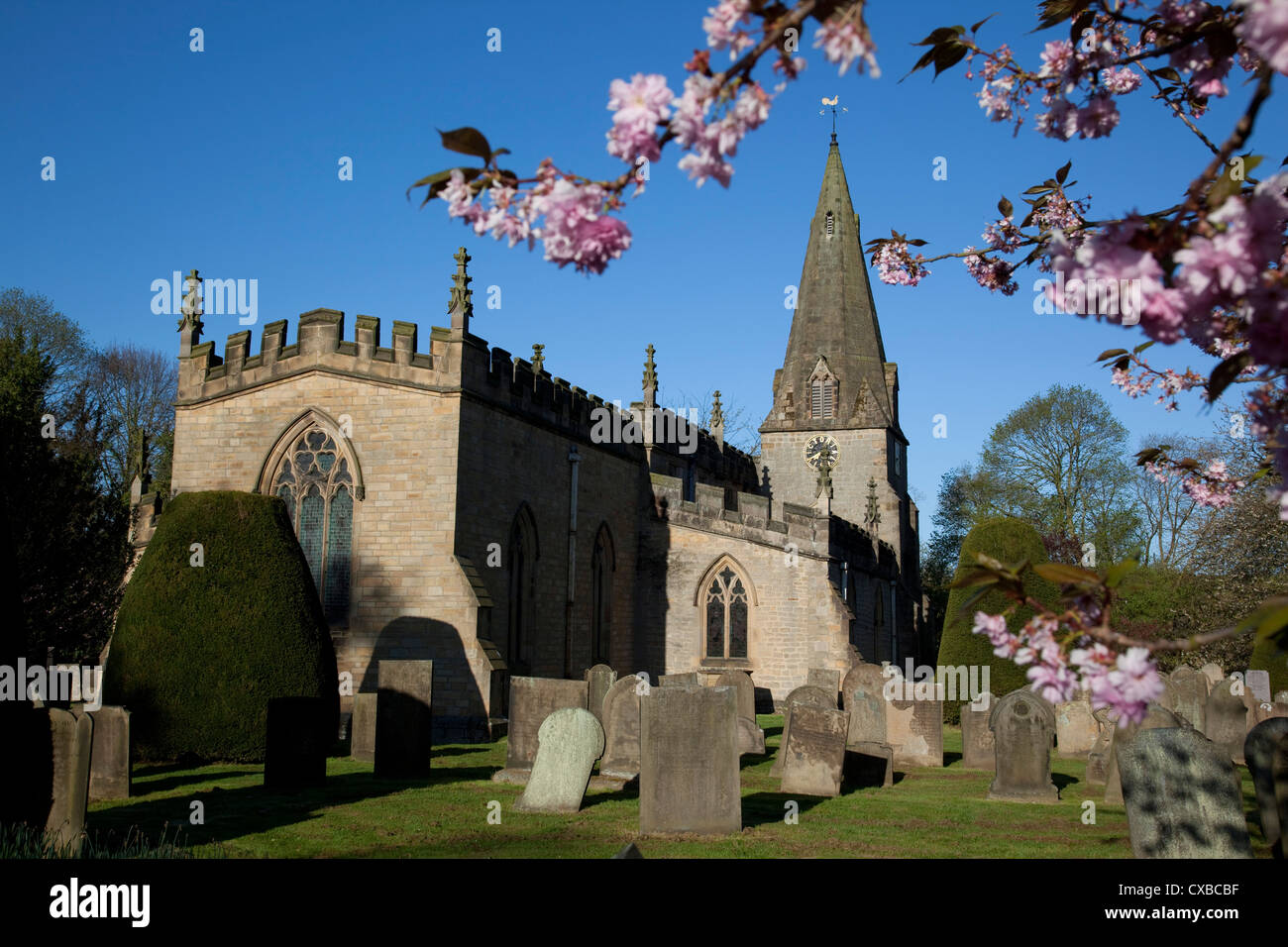 Baslow Parish Church and spring cherry blossom, Derbyshire, England ...