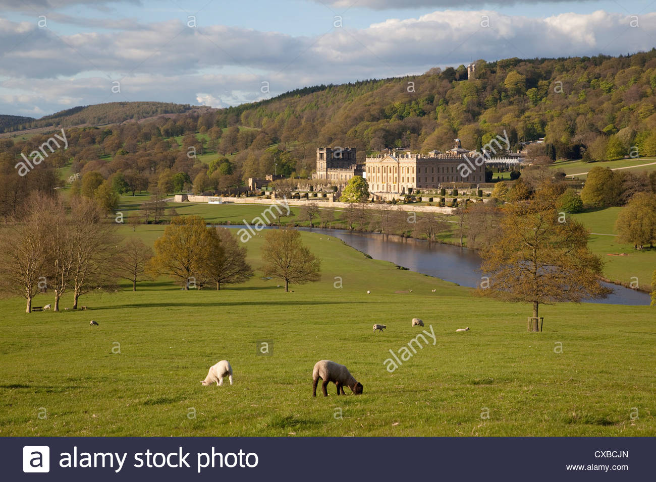 Chatsworth House And Estate High Resolution Stock Photography and ...
