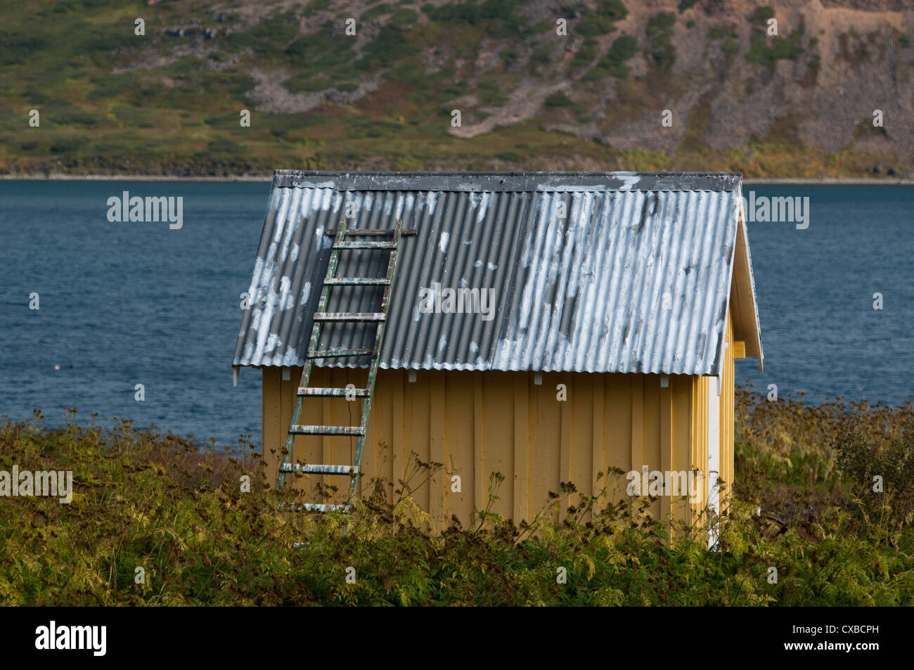 A photograph of the Old houses in the abandoned village of Hesteyri in ...