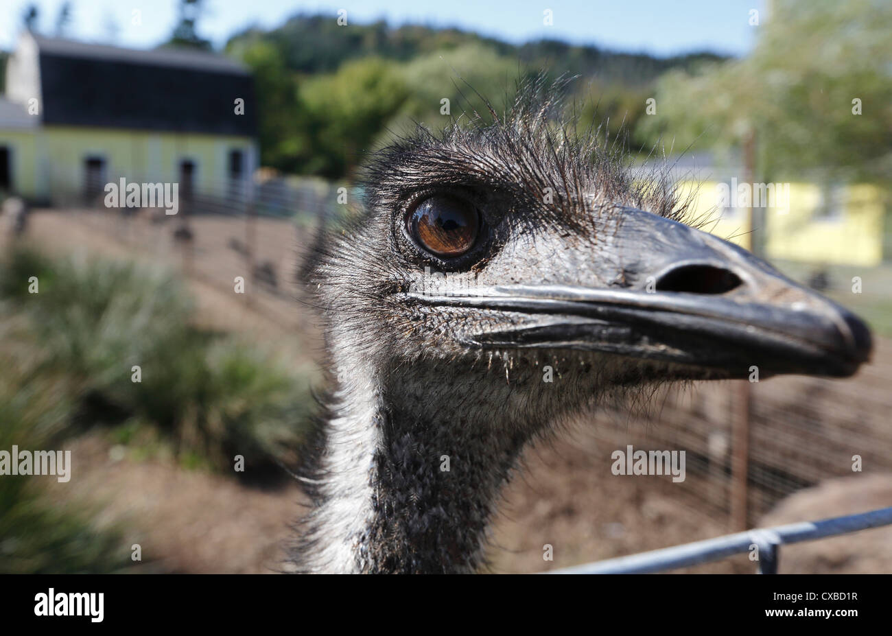 Digby nova scotia hi-res stock photography and images - Alamy
