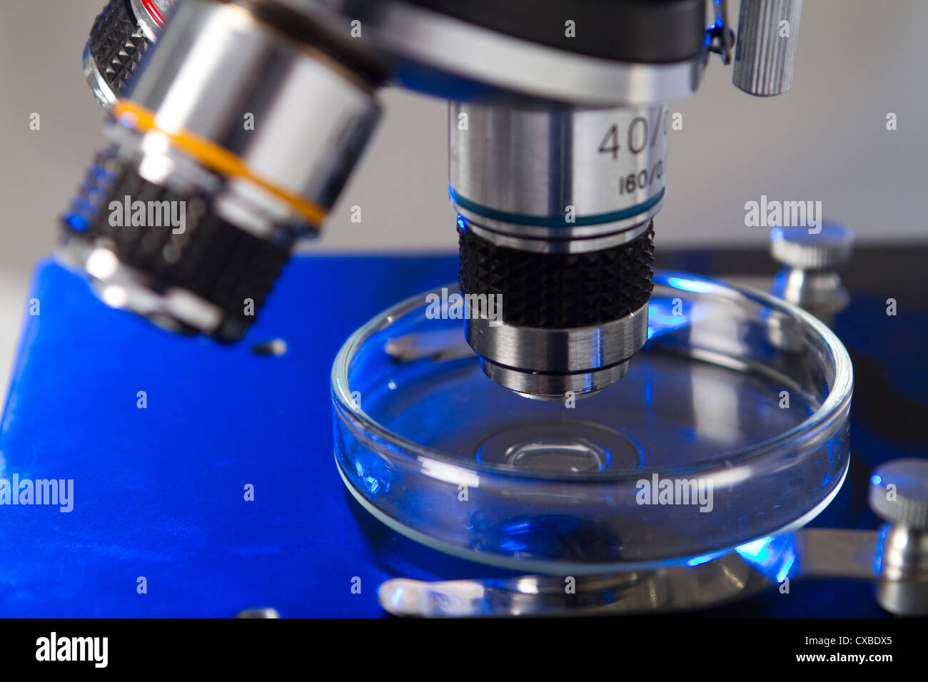 Microscope plate hi-res stock photography and images - Alamy