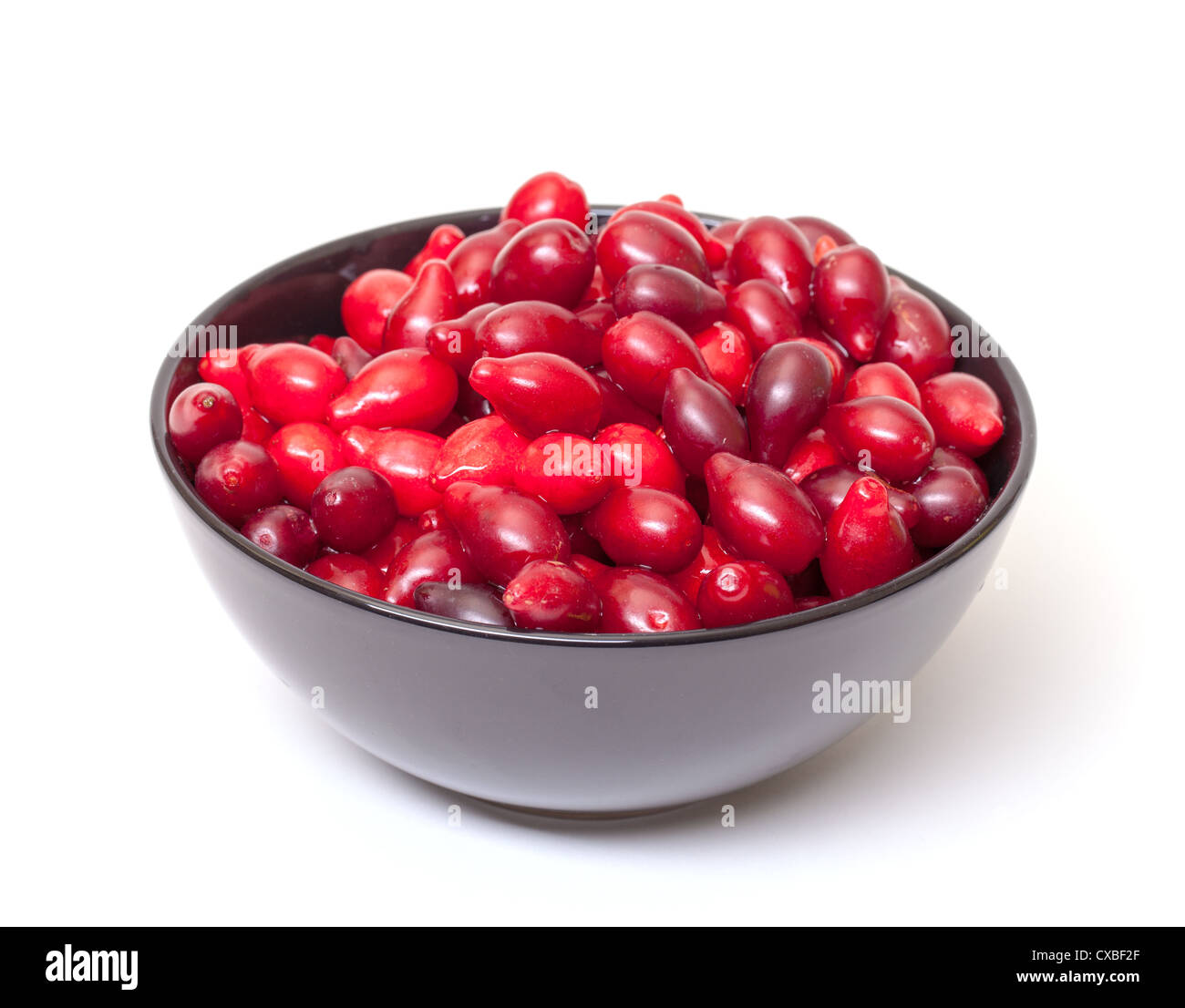 Dogberry hi-res stock photography and images - Alamy