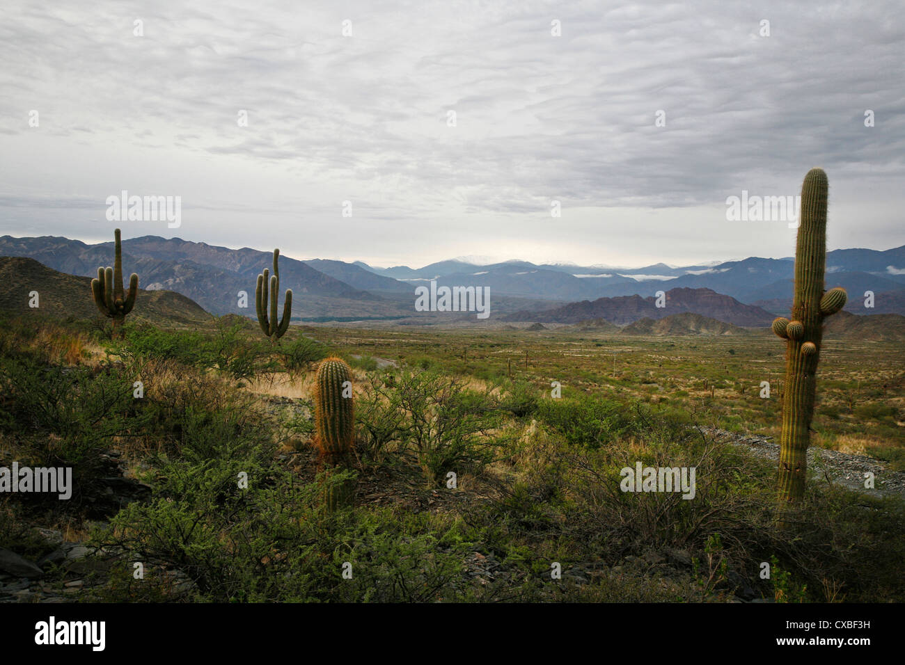 Valles calchaquies hi-res stock photography and images - Alamy