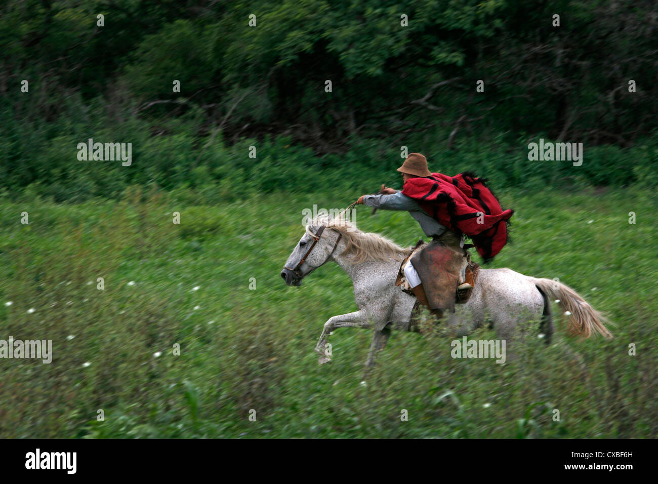 Gaucho riding a horse at an estancia near Guemes, Salta Province ...