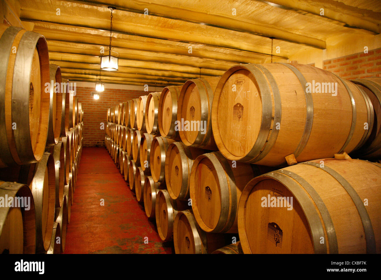 Salta argentina vineyard hi-res stock photography and images - Alamy