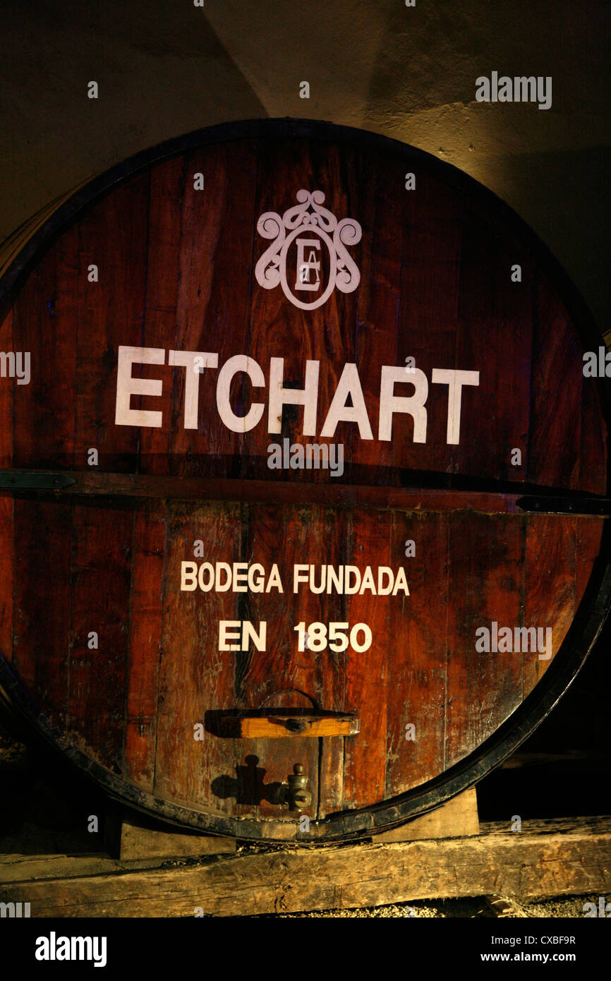 Salta argentina vineyard hi-res stock photography and images - Alamy