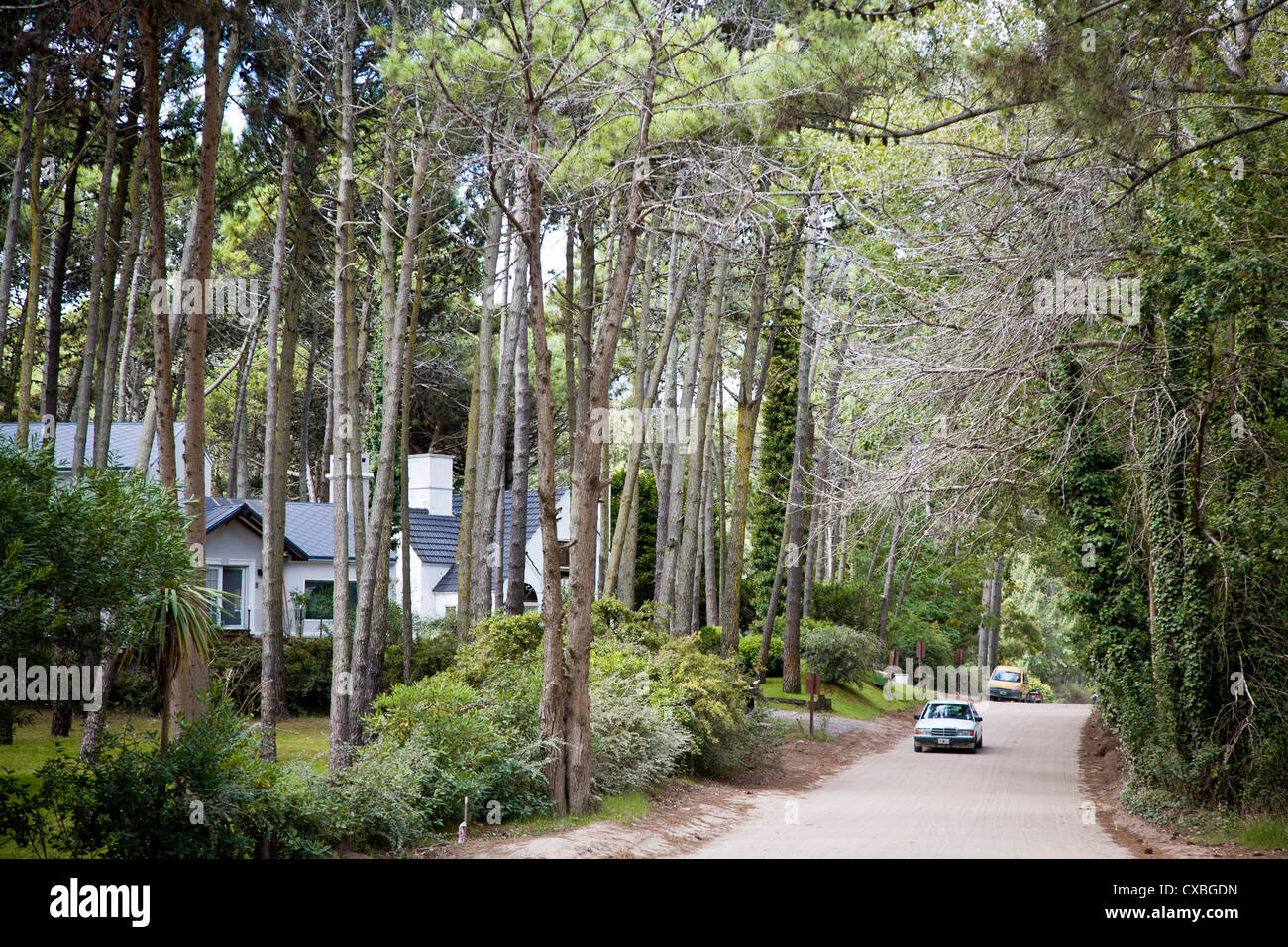 Houses in the woods of Carilo, Argentina Stock Photo - Alamy