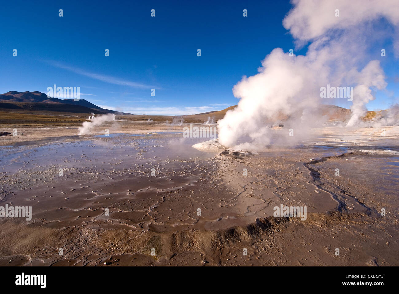 Atacama el tatio hi-res stock photography and images - Alamy