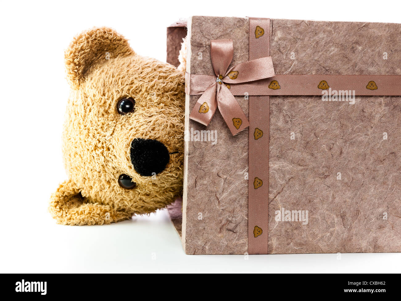 Bears box hi-res stock photography and images - Alamy