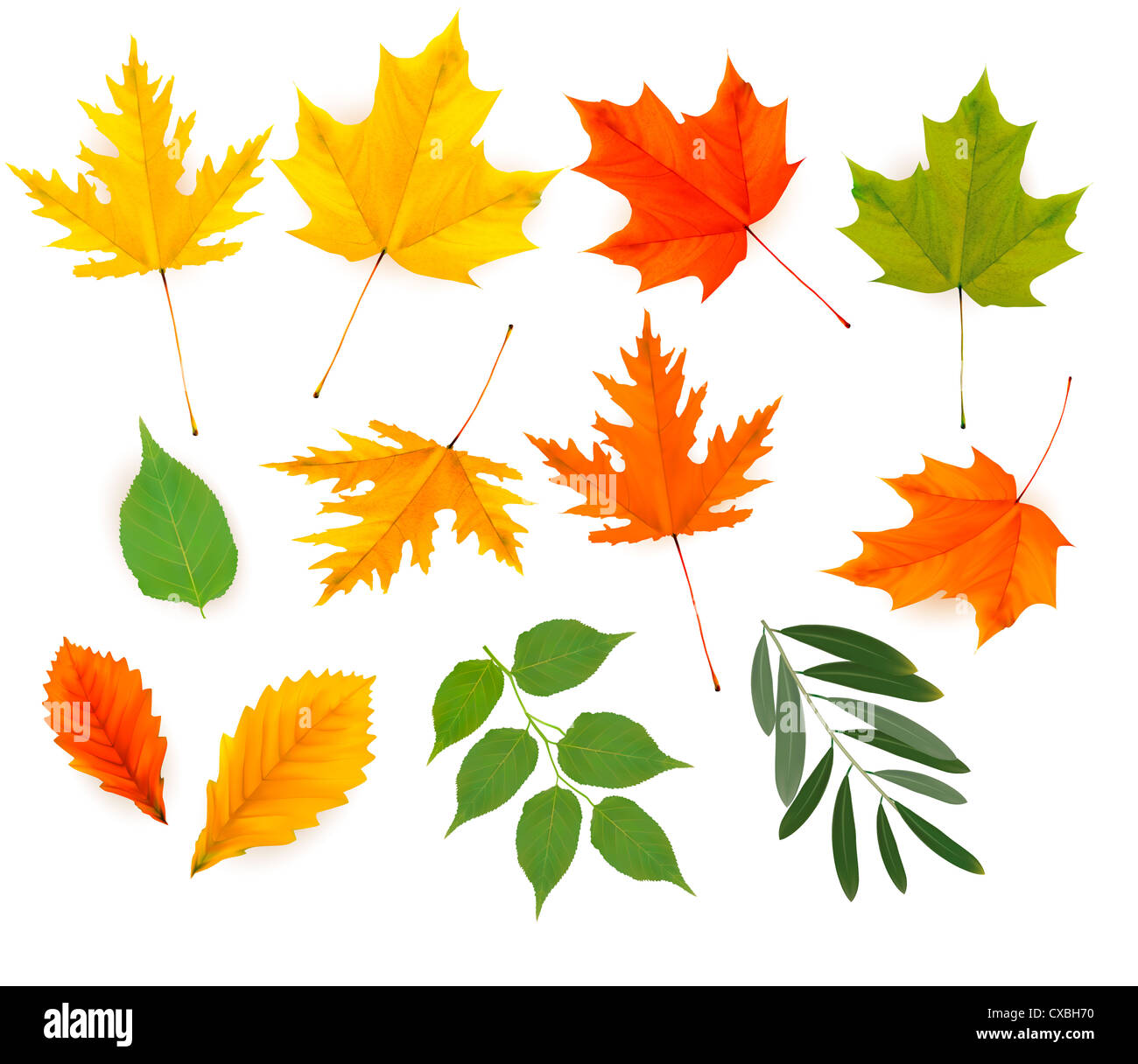 Grain icon colorful pattern Cut Out Stock Images & Pictures - Alamy