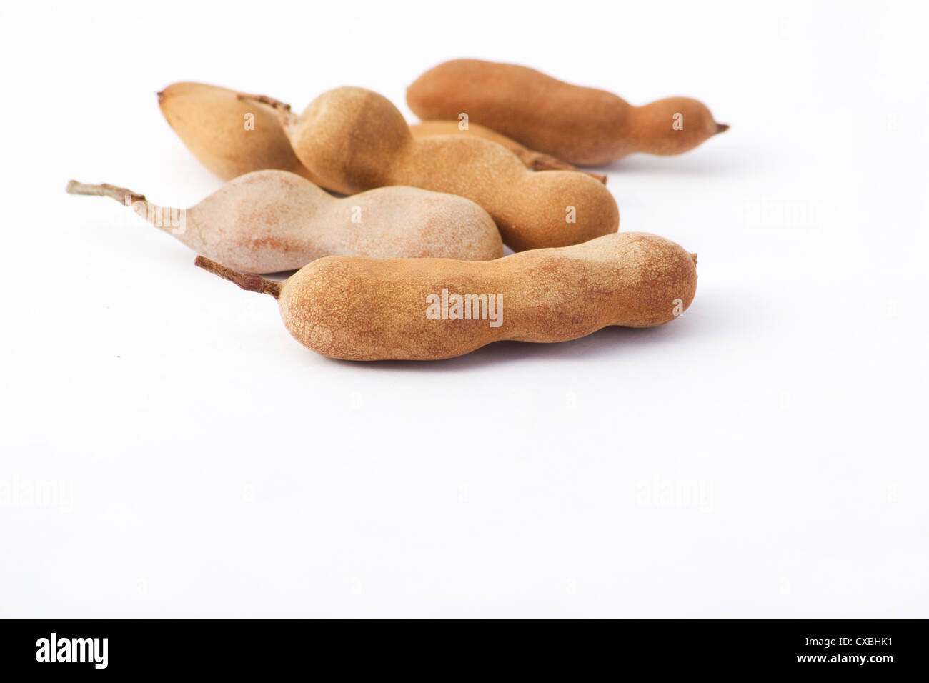 Close-up of Tamarind (Tamarindus indica) fruit pod on white background ...